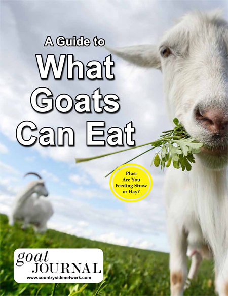 A Guide to What Goats Can Eat Flip Book - Goat Journal